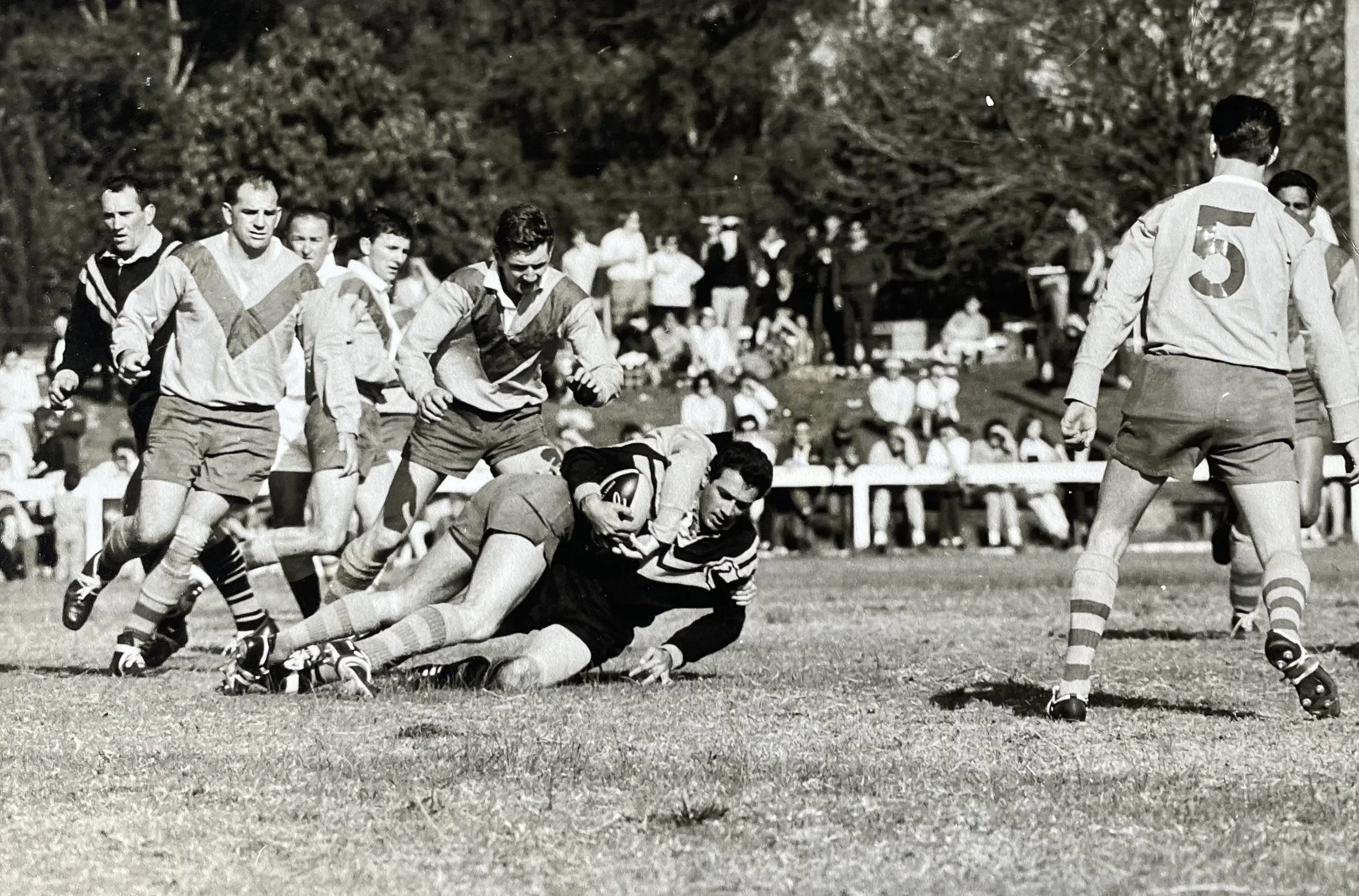 About 1 — DAPTO RLFC