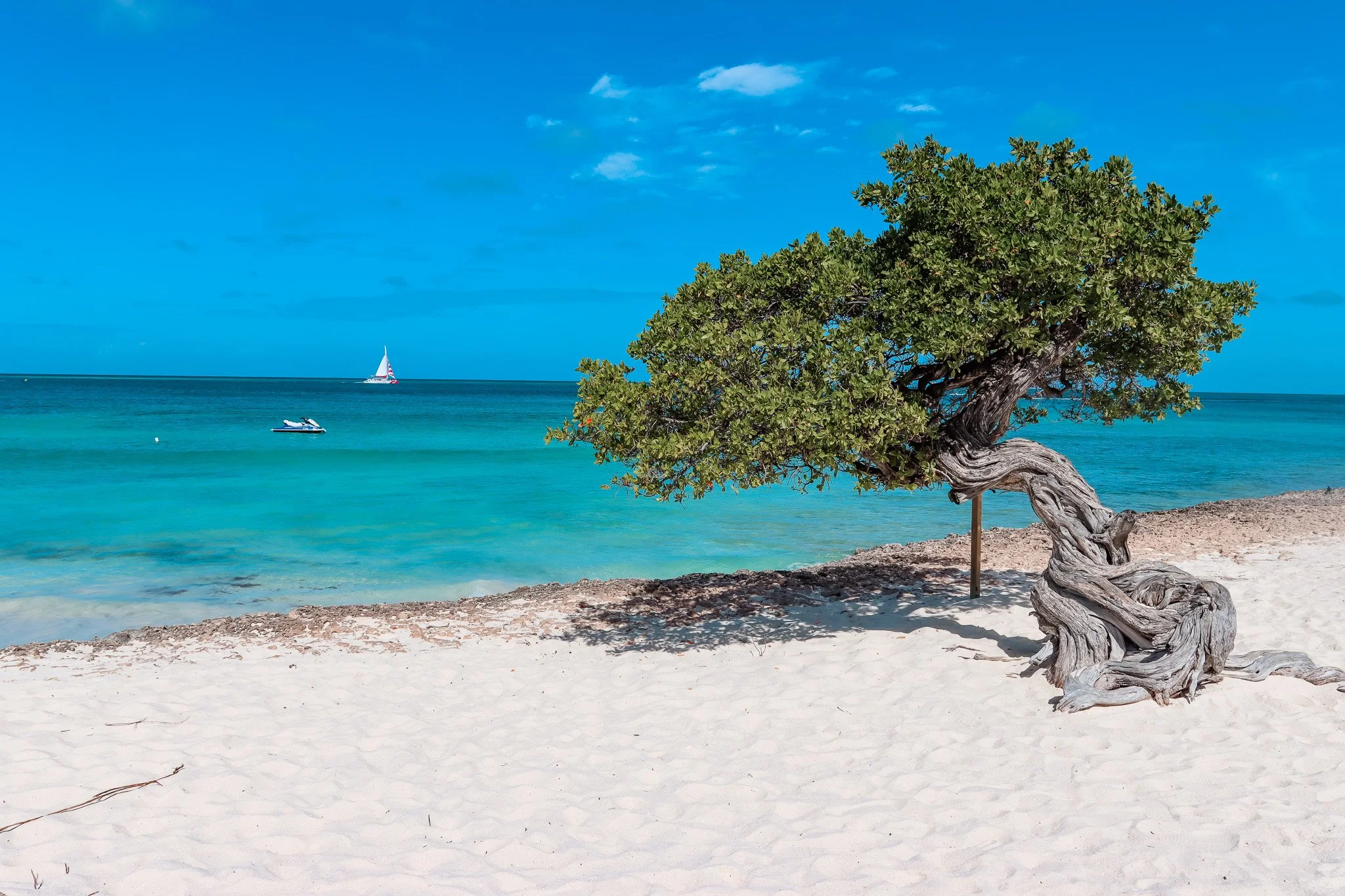 5 Perfect Days in Aruba: Your Ultimate Itinerary — THE PTO PAL