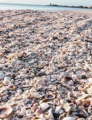 12 Best Things to do in Sarasota, Florida — THE PTO PAL