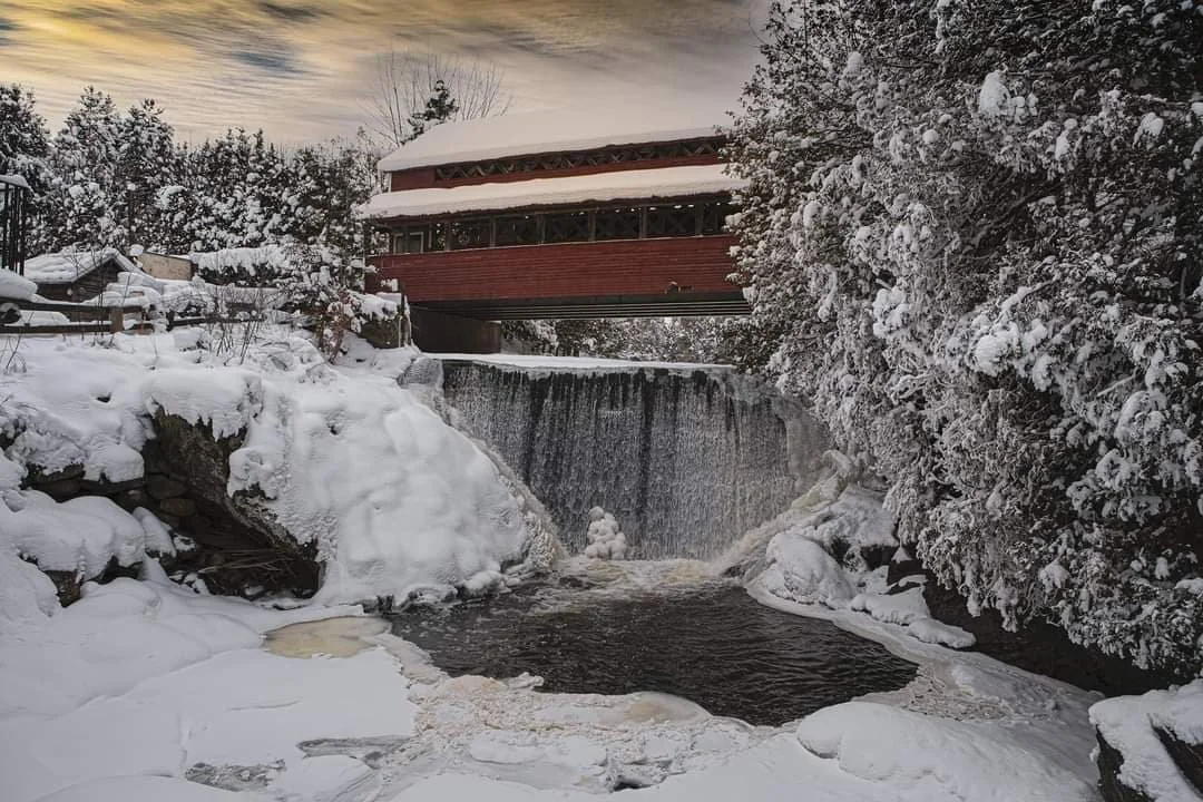 Eastern Townships Roots