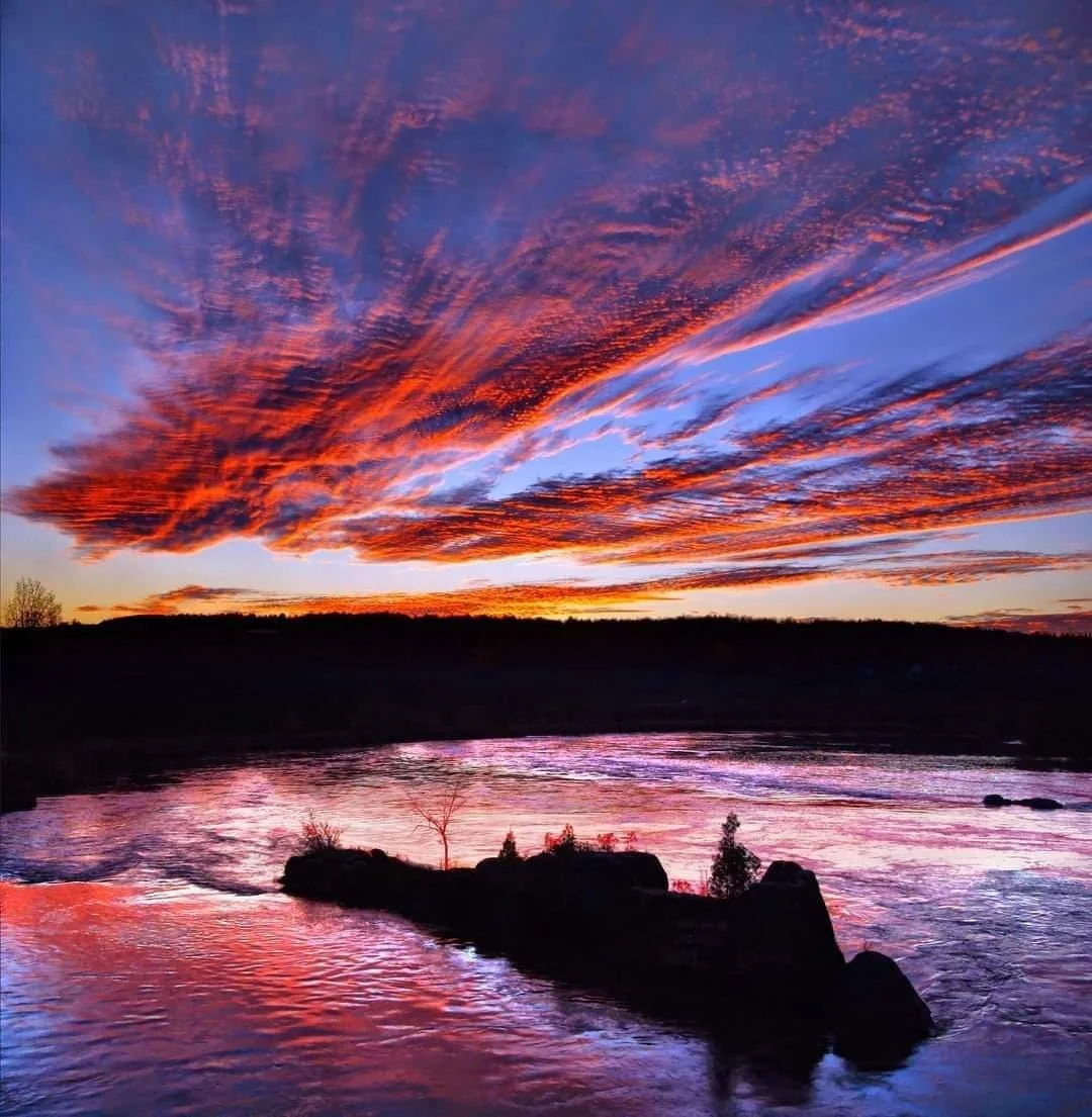 Eastern Townships Roots