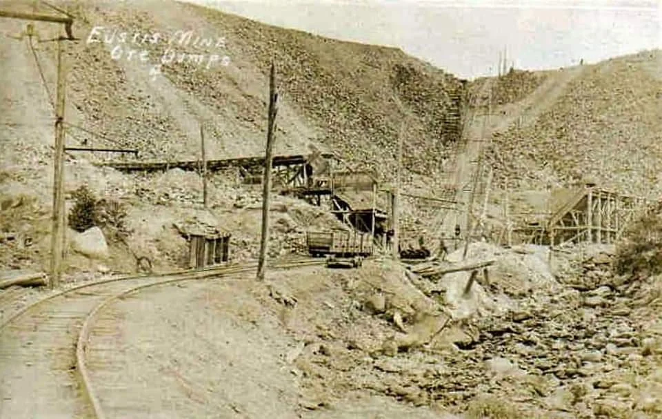 Eastern Townships Roots