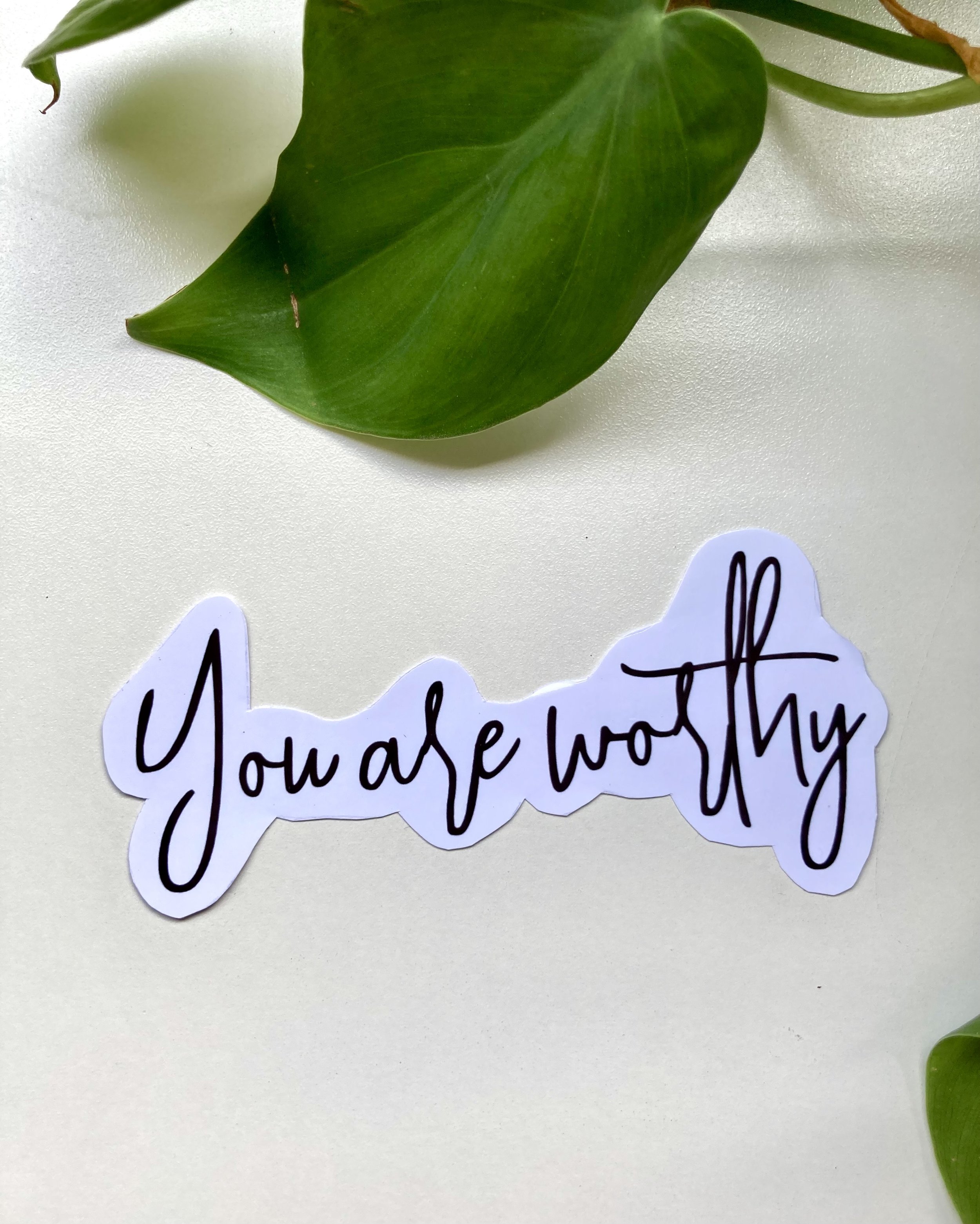 Accessories — Shop — More Than Cotton