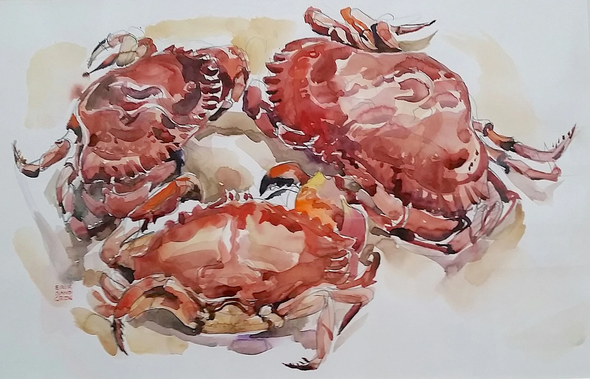 Watercolors — Erik Sandgren