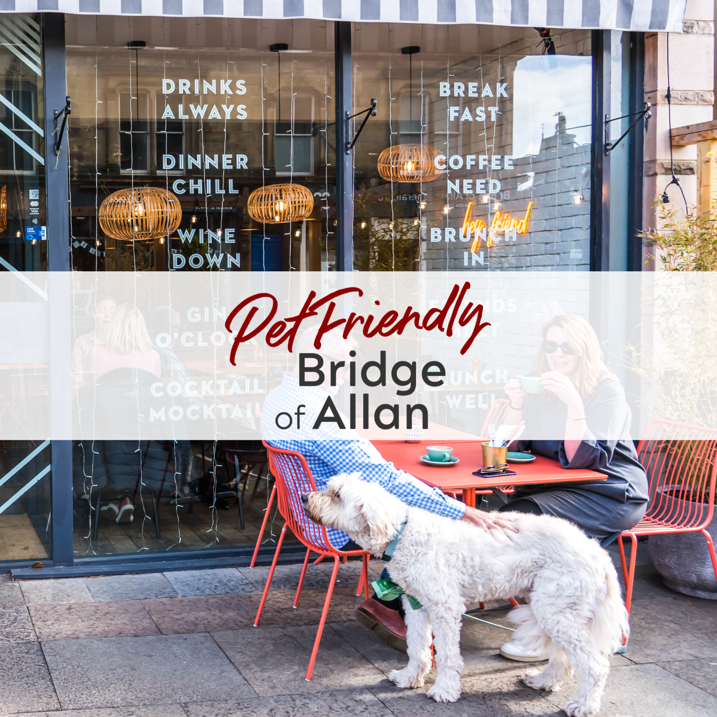 Discover Bridge of Allan