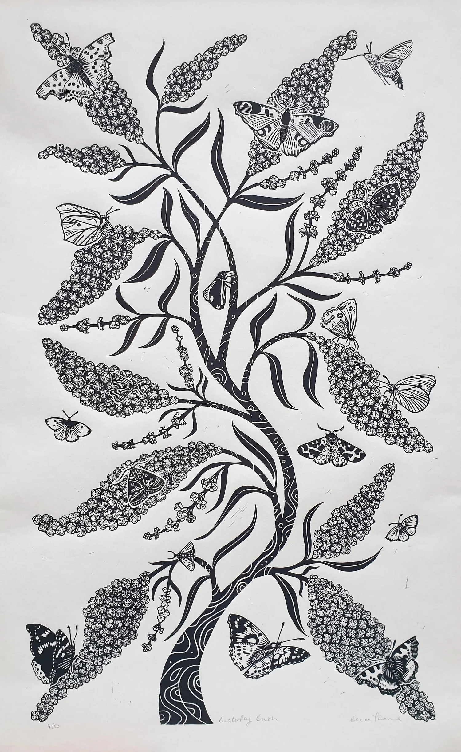 Becca Thorne Illustration