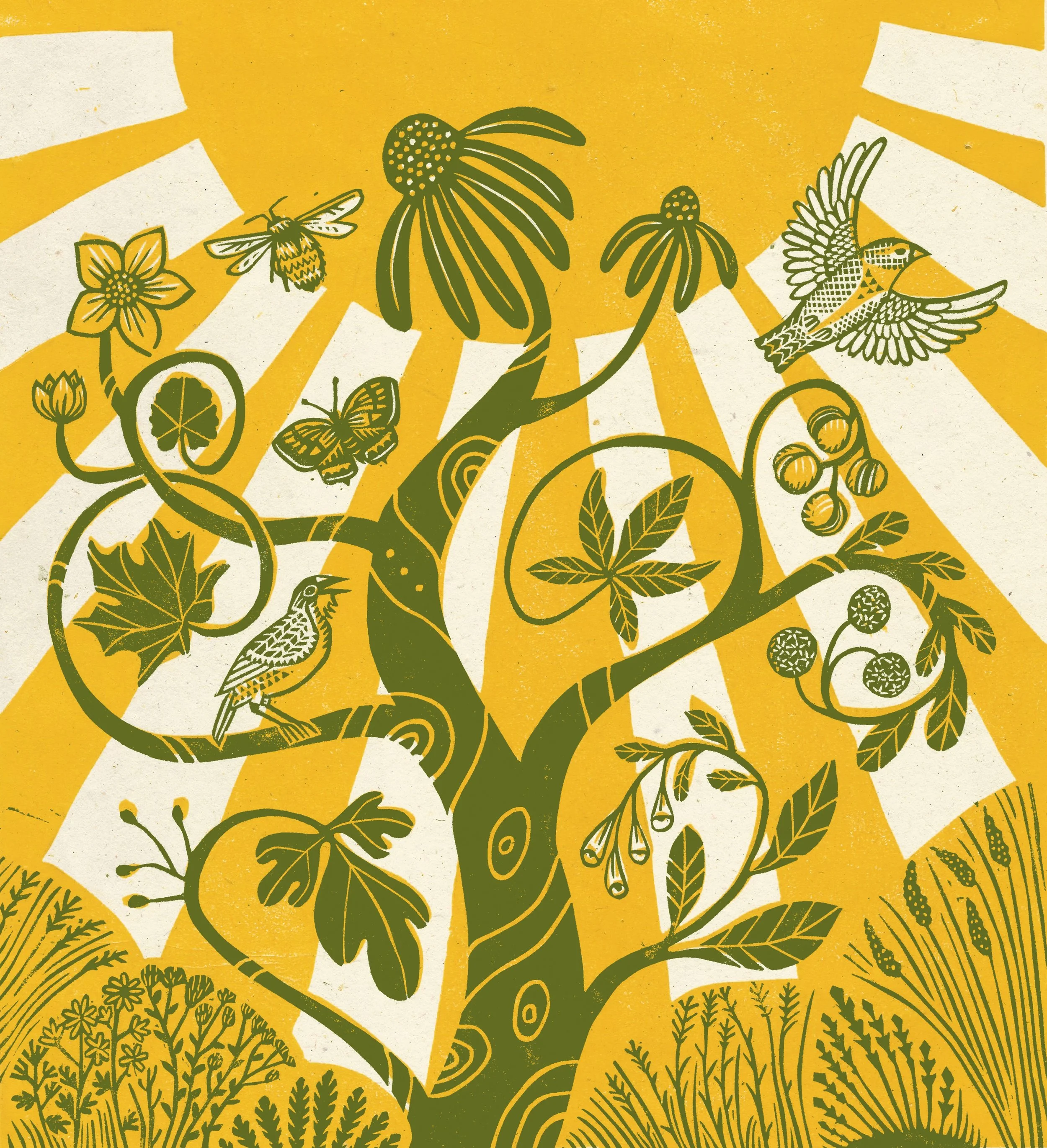 Becca Thorne Illustration
