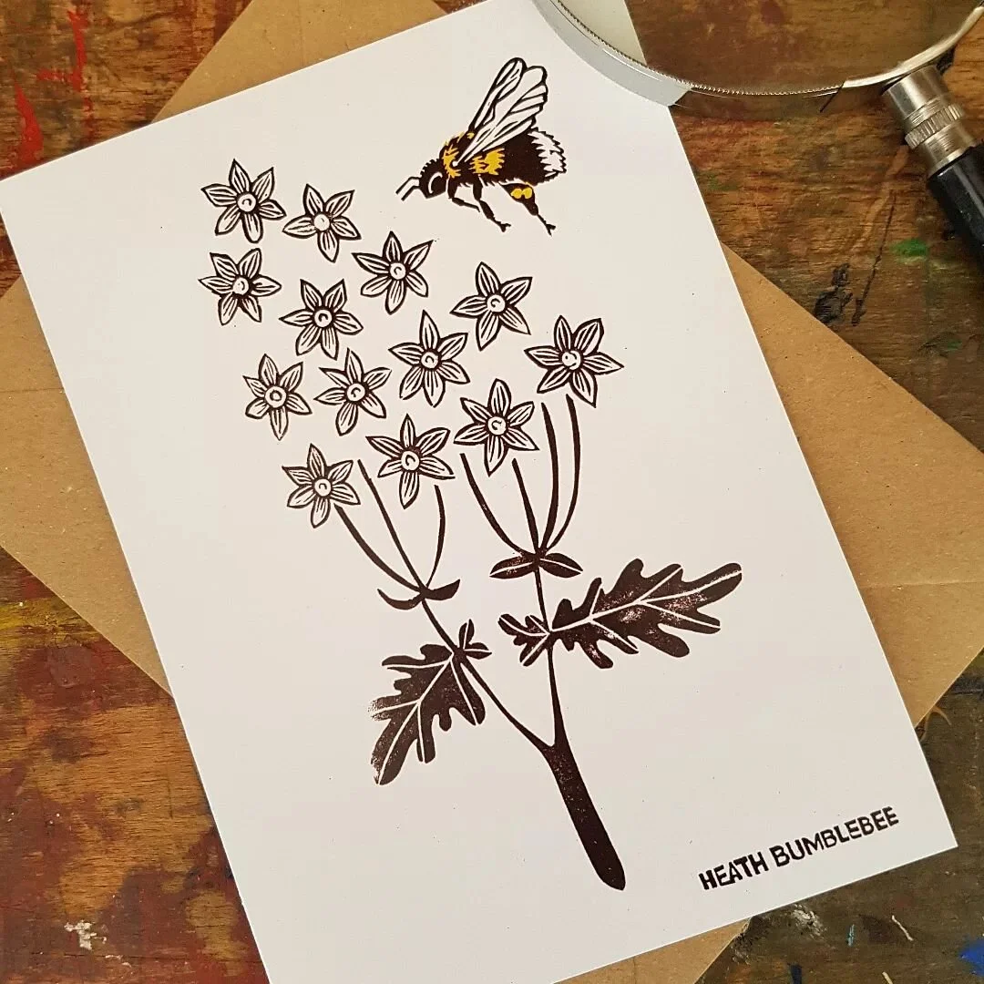 Becca Thorne Illustration