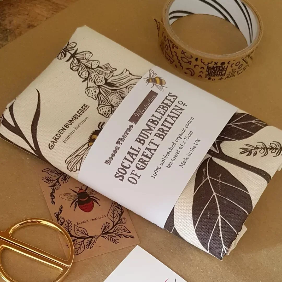 Becca Thorne Illustration