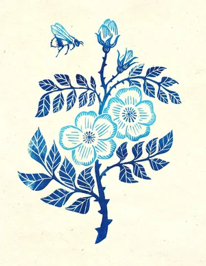 Becca Thorne Illustration