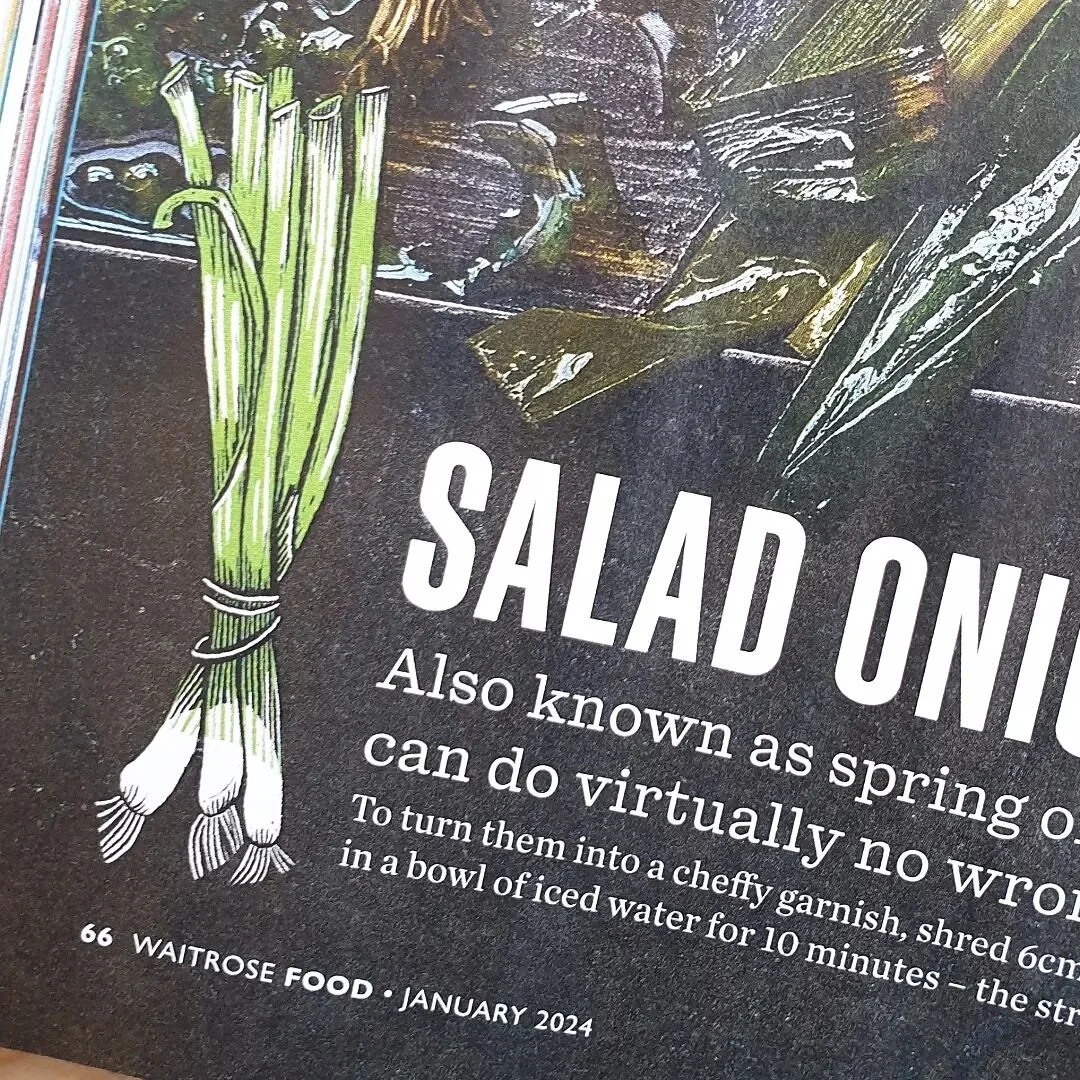 About 5 — Becca Thorne Illustration