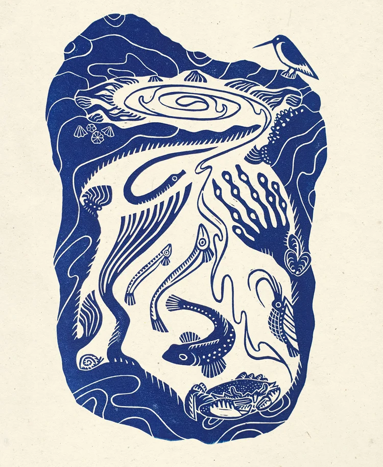 Becca Thorne Illustration
