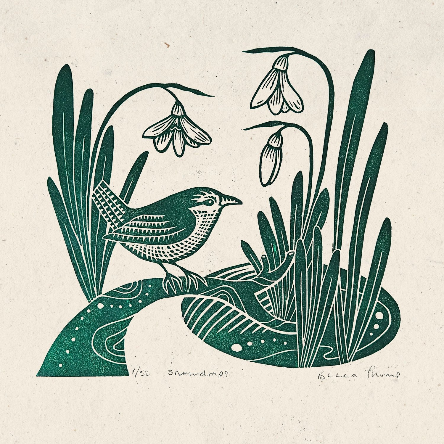 Becca Thorne Illustration