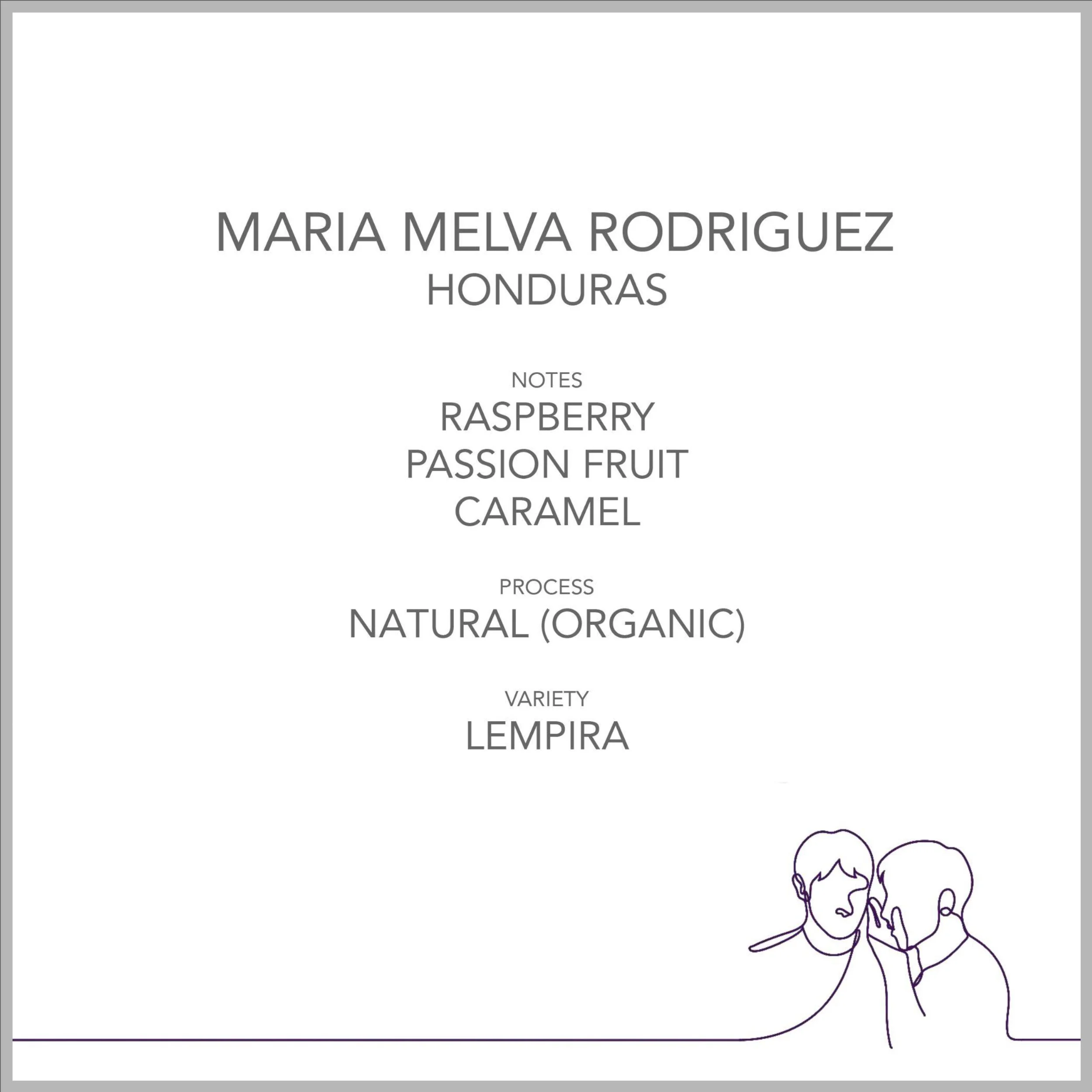 A E R O P R E S S — Rumour Coffee Co