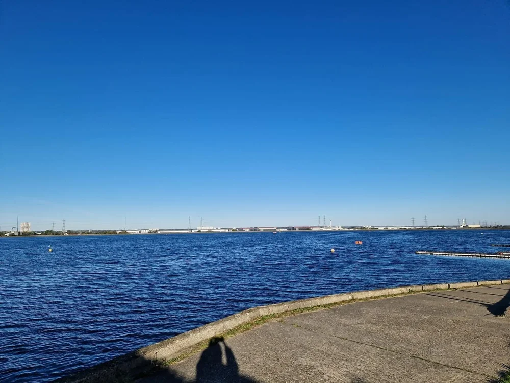 King George Sailing Club The Best Sailing in London