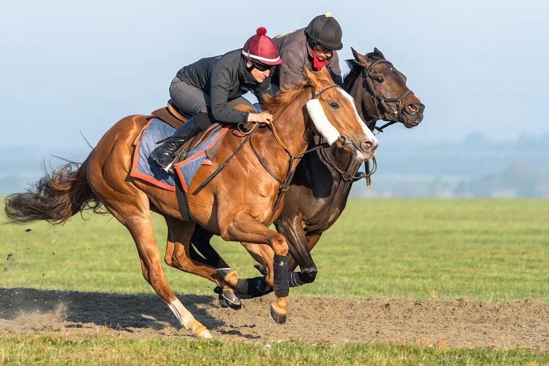 Chestnut Tree Stables — Jack Jones Racing