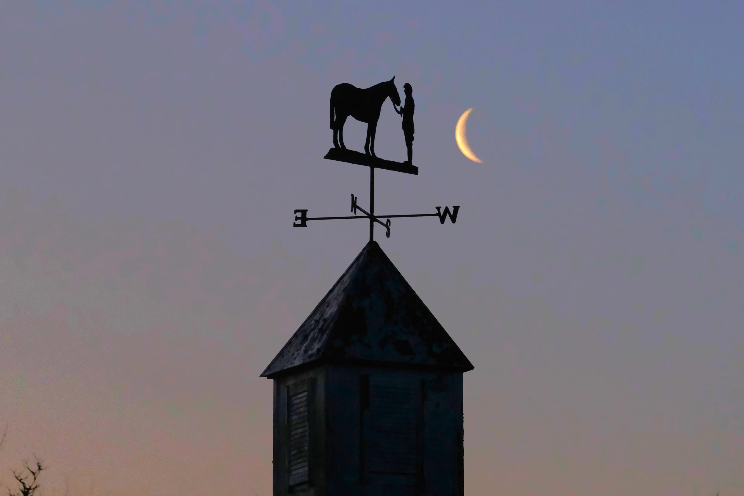 Chestnut Tree Stables — Jack Jones Racing