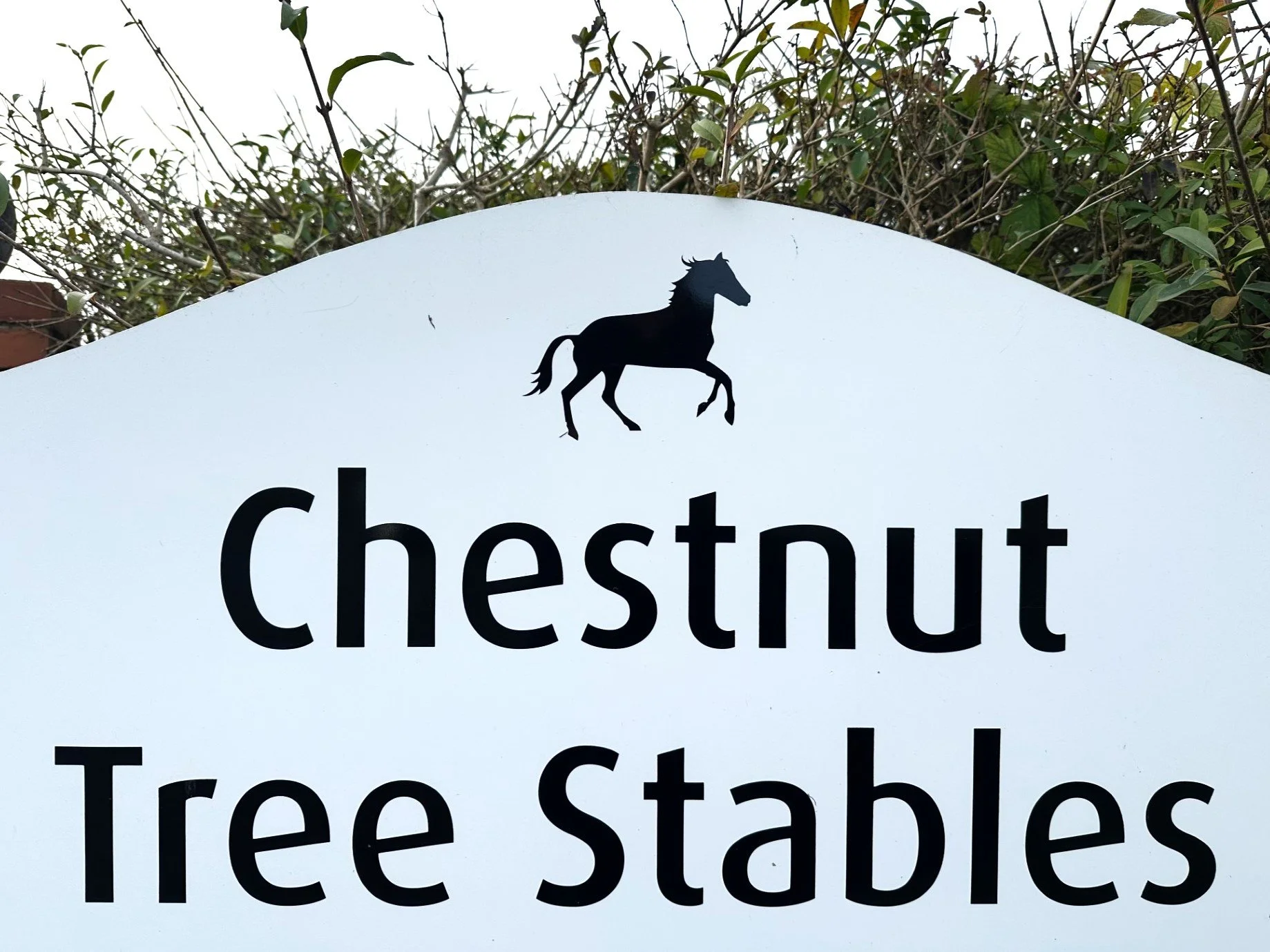 UP AND COMING TRAINER HAILS 'GAME-CHANGING' DEAL — Jack Jones Racing