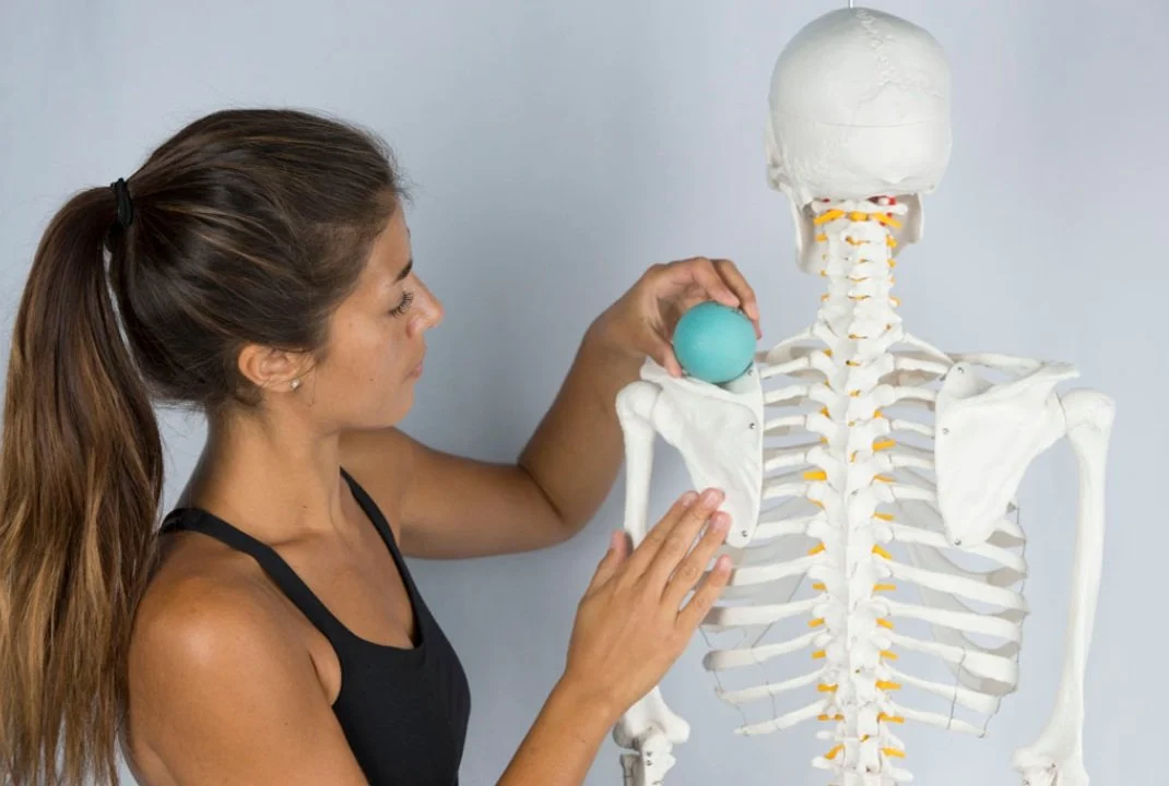 Anatomy Course — HealthyHips.ca