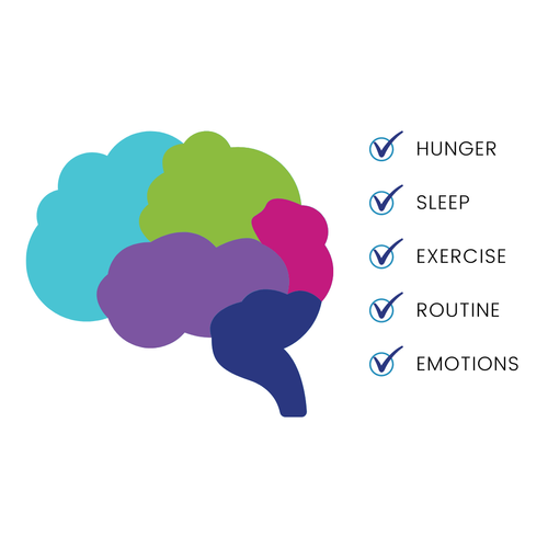 Brain Behavior Bridge