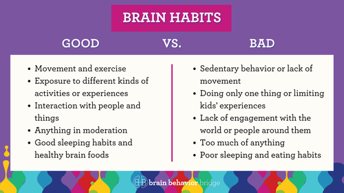 The War Against the “Big Bad Screen” — Brain Behavior Bridge