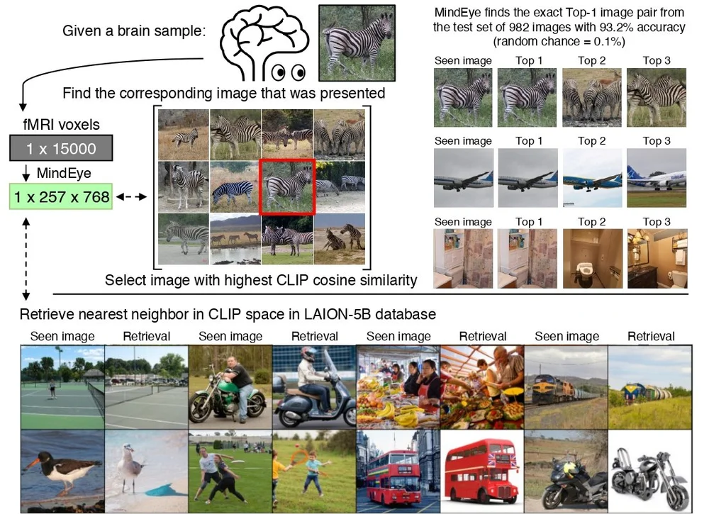Reconstructing the Mind’s Eye: fMRI-to-Image with Contrastive Learning and Diffusion Priors ...
