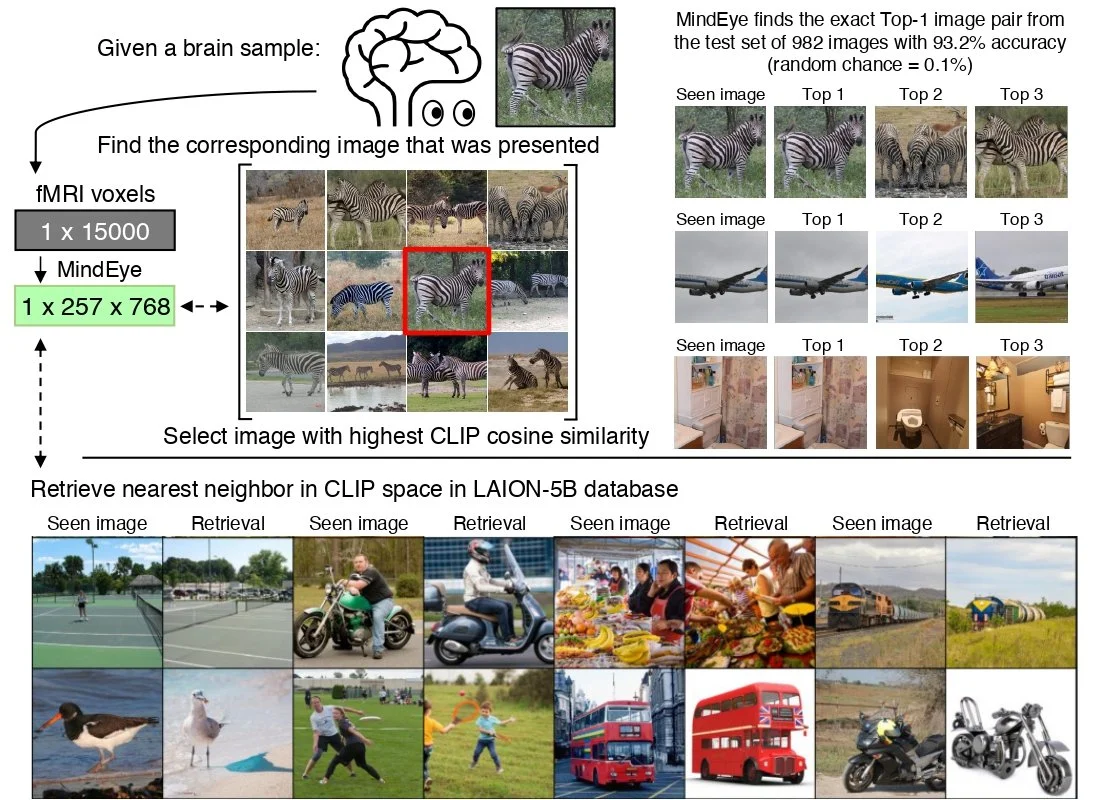 Reconstructing the Mind’s Eye: fMRI-to-Image with Contrastive Learning and Diffusion Priors ...