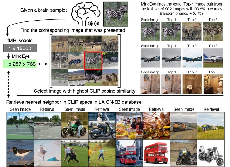 Reconstructing the Mind’s Eye: fMRI-to-Image with Contrastive Learning and Diffusion Priors ...