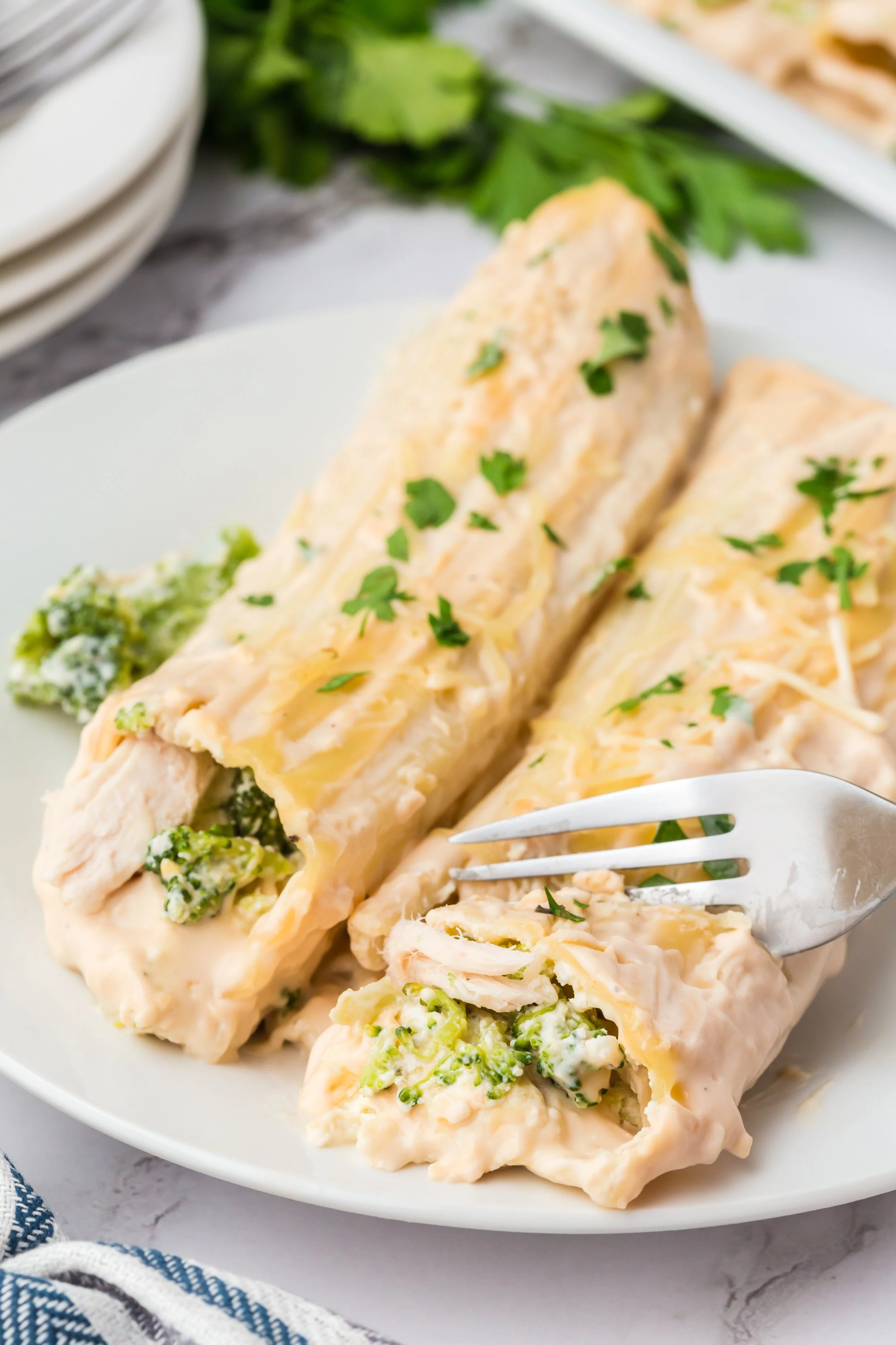 Chicken Broccoli Alfredo Manicotti- Exclusive — May Feather Content ...