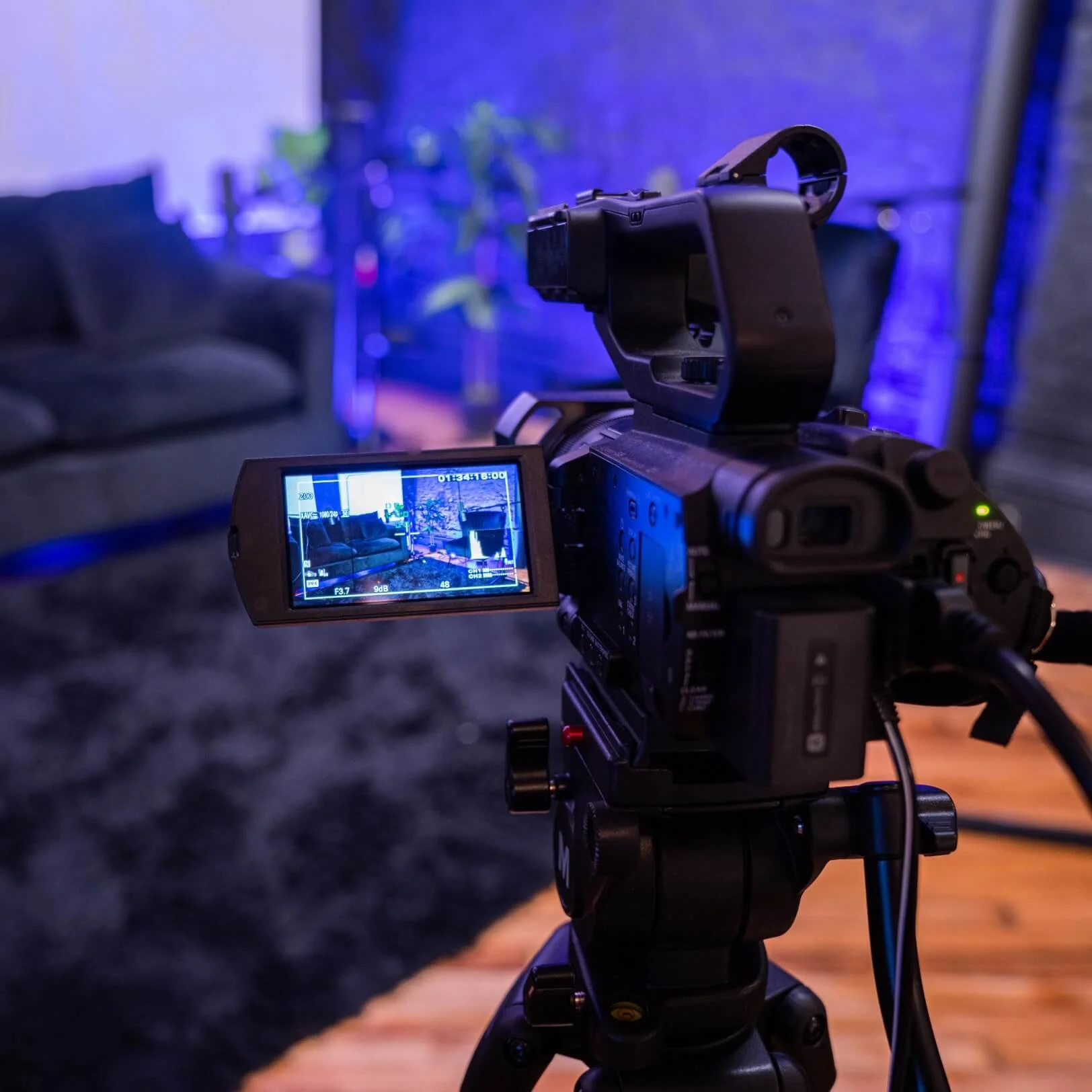 Services — WTF Media Studios