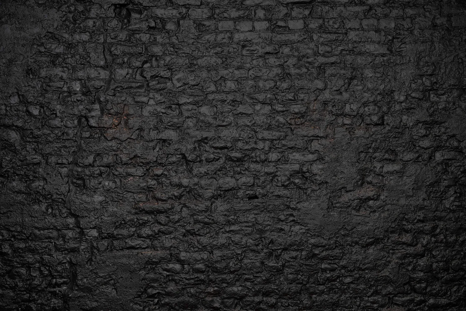 Home — WTF Media Studios