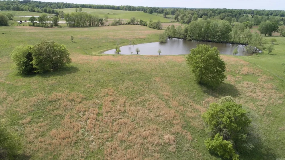 Forrest Realty Solutions