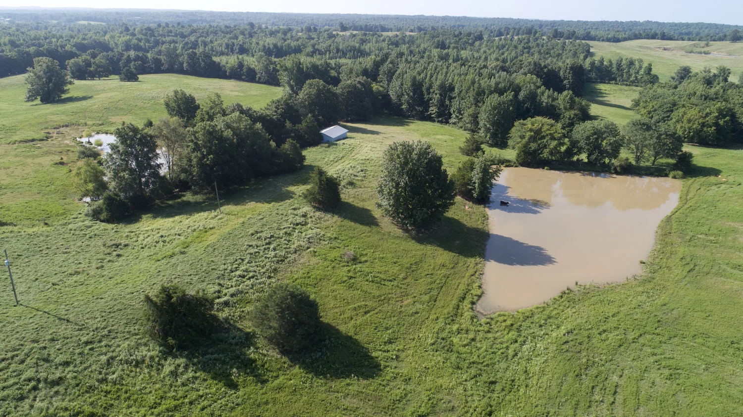 Forrest Realty Solutions