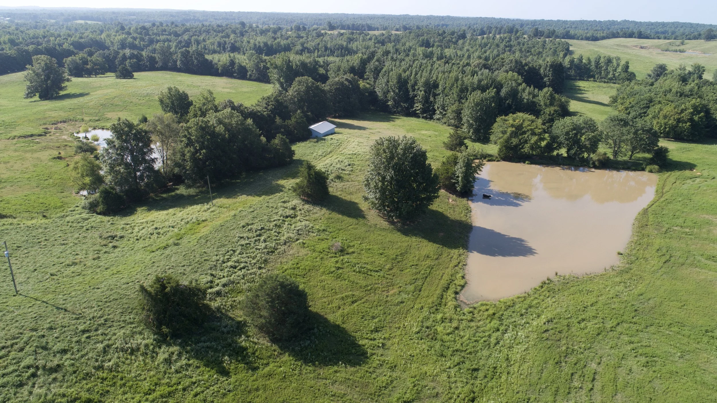 Forrest Realty Solutions