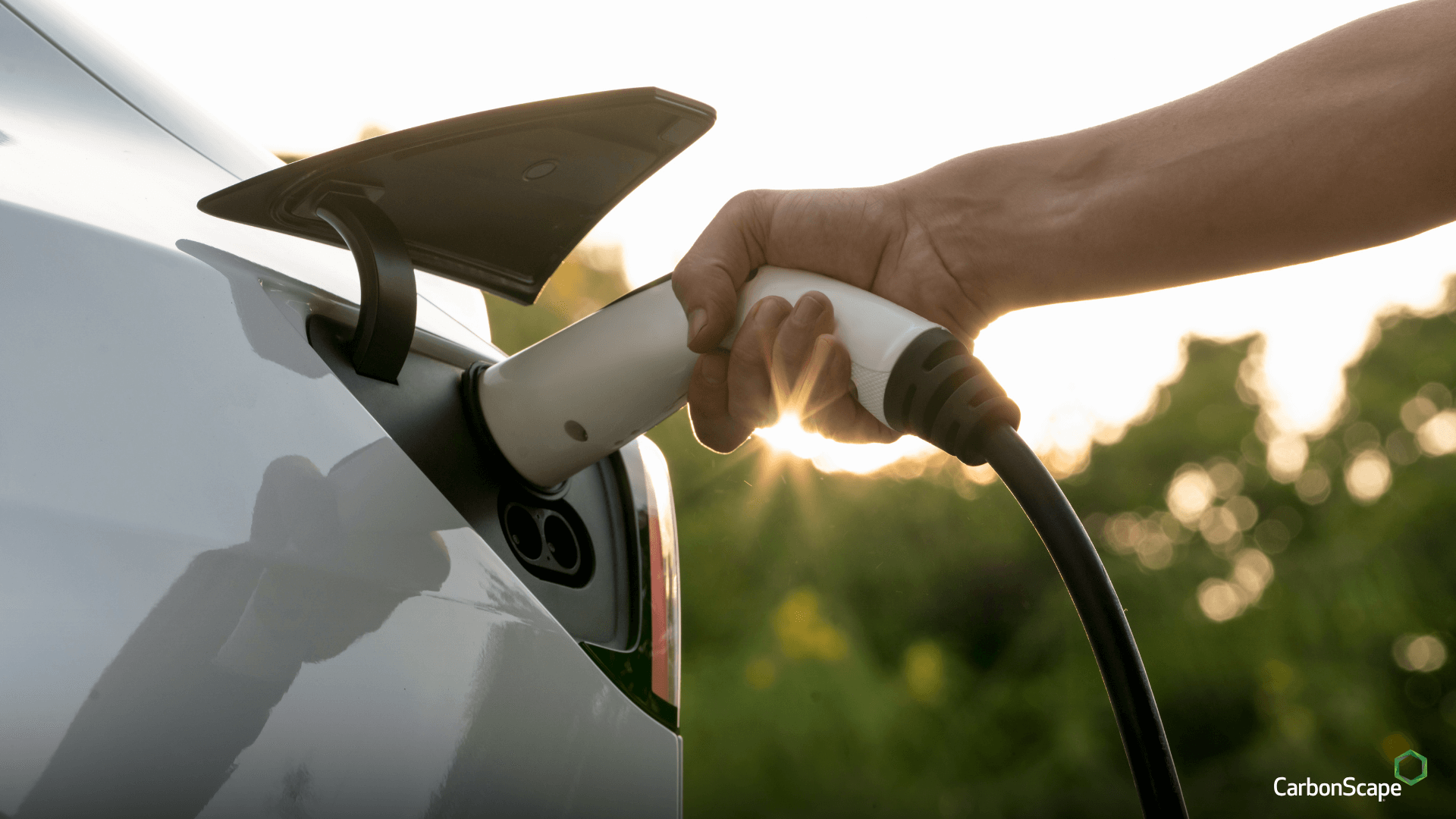 In the Age of Tariffs, Biographite Emerges as the Clear Winner ...