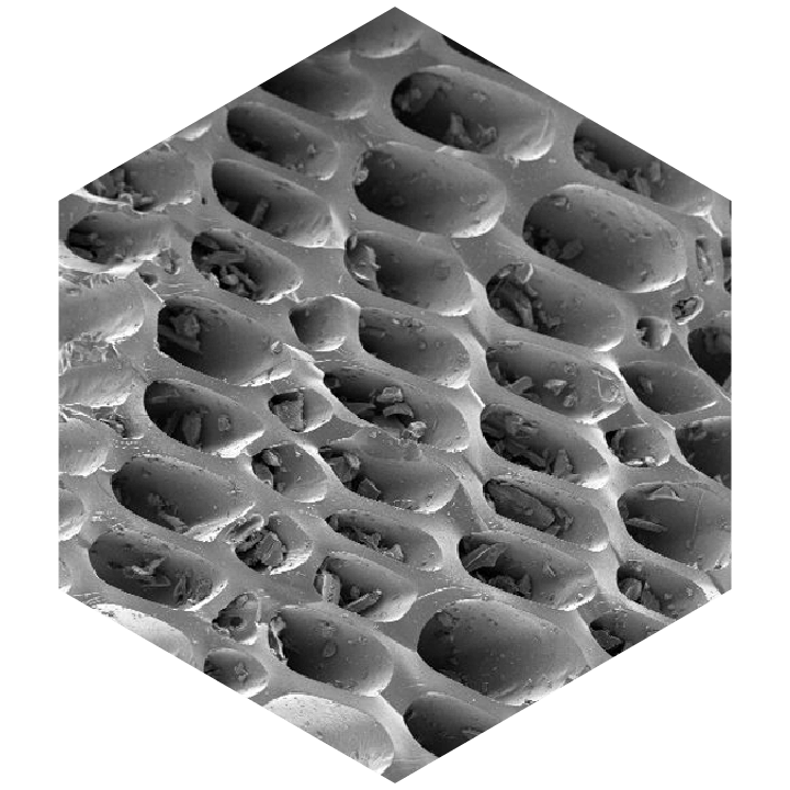 Biographite | The Future of Graphite | CarbonScape — CarbonScape Ltd