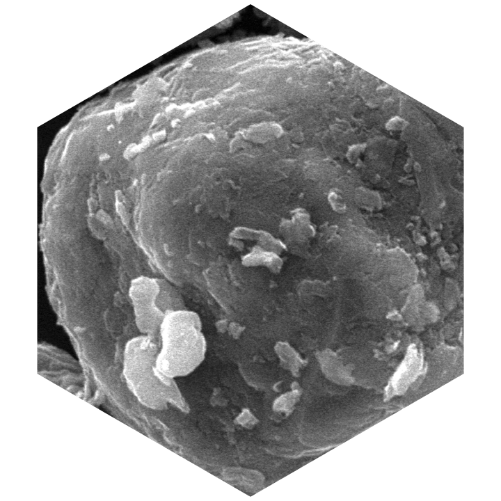 Biographite | The Future of Graphite | CarbonScape — CarbonScape Ltd