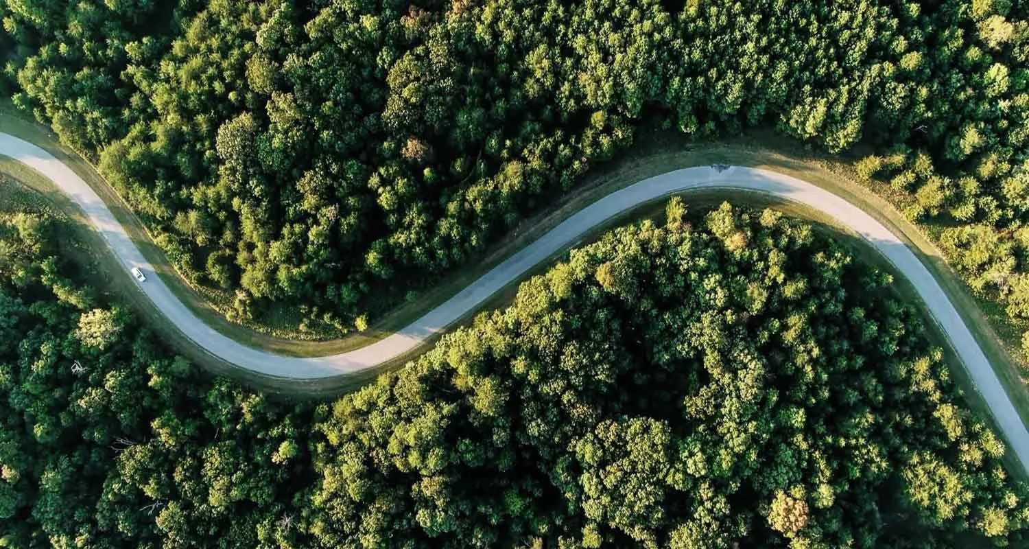 Our Story | Sustainable Biographite | CarbonScape — CarbonScape Ltd