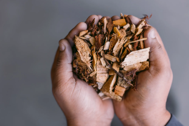 New investment in CarbonScape sustainable biographite — CarbonScape Ltd