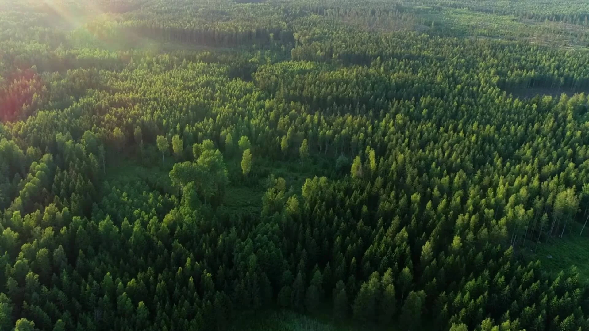 Our Board | CarbonScape — CarbonScape Ltd