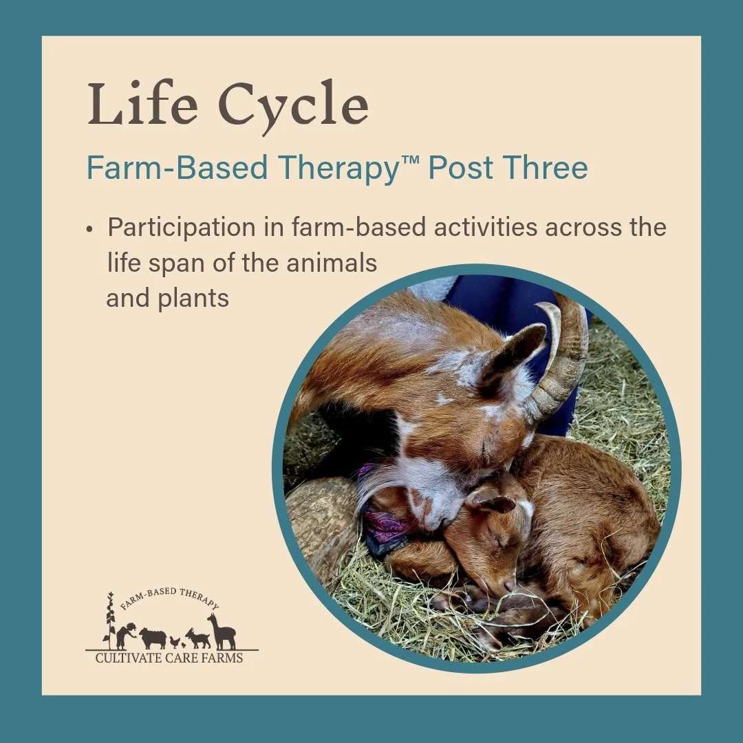 Cultivate Care Farms- Farm-Based Therapy