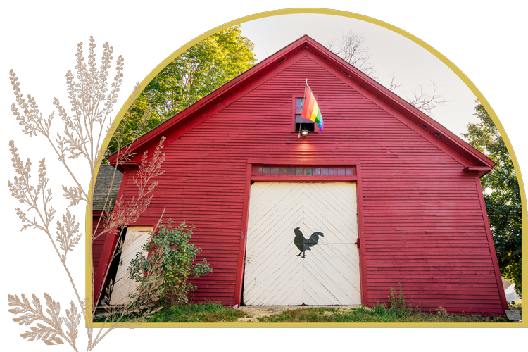 Cultivate Care Farms- Farm-Based Therapy