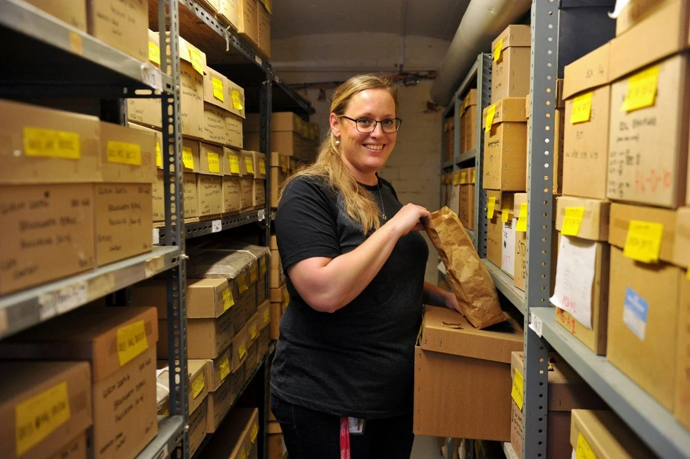 Reviewing the Archaeological Archives Backlog Project opportunity ...