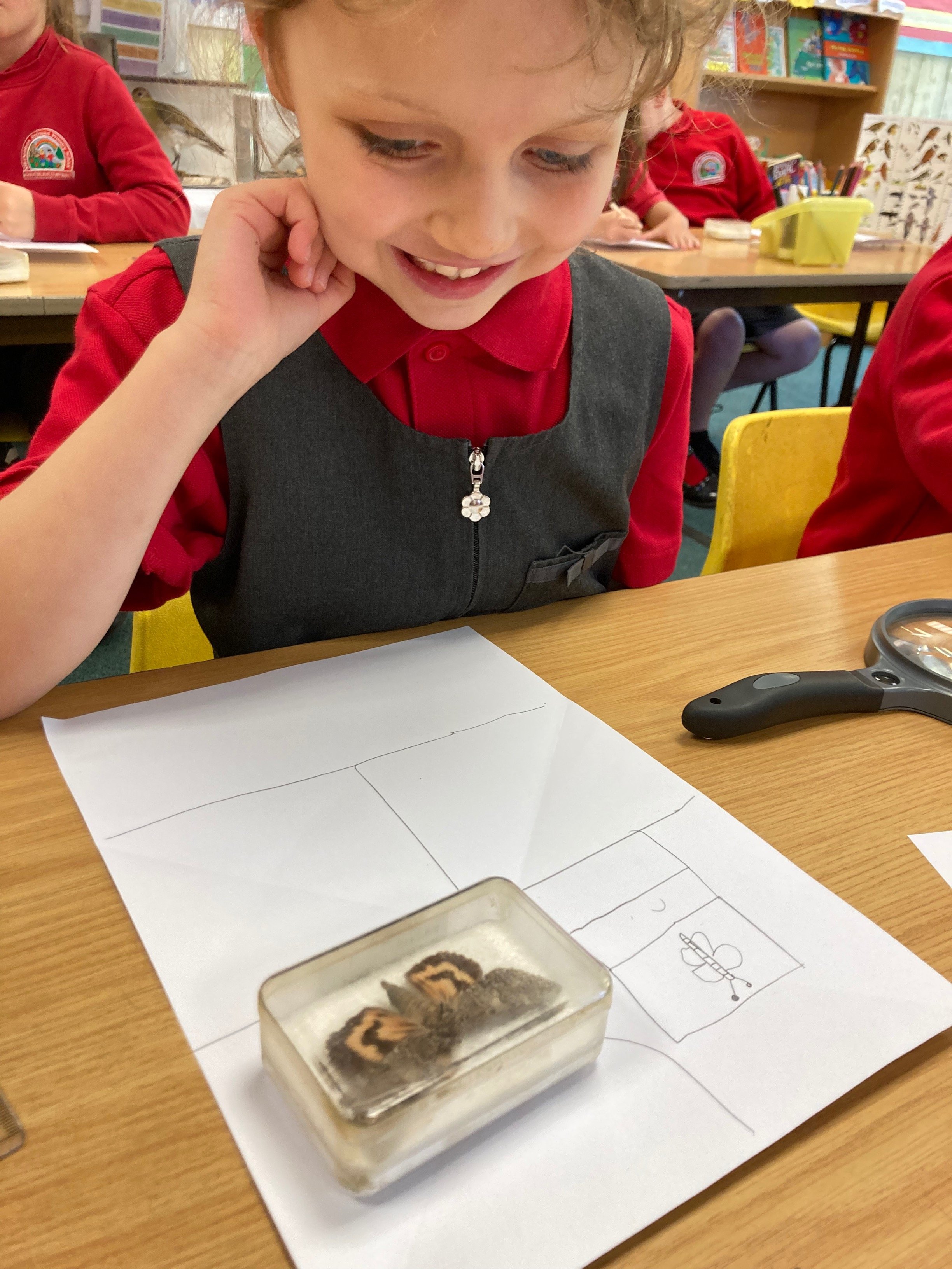 The Wild Escape — Museum of Gloucester