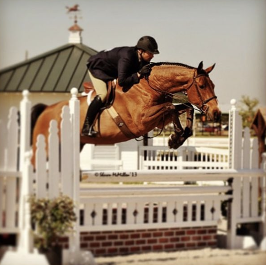 Team — Switch Willo Stables