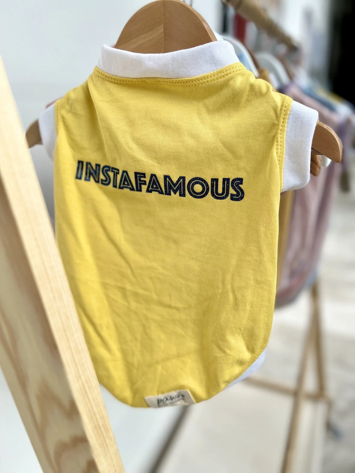 Paws for Change Greeting Cards — Paws For Change