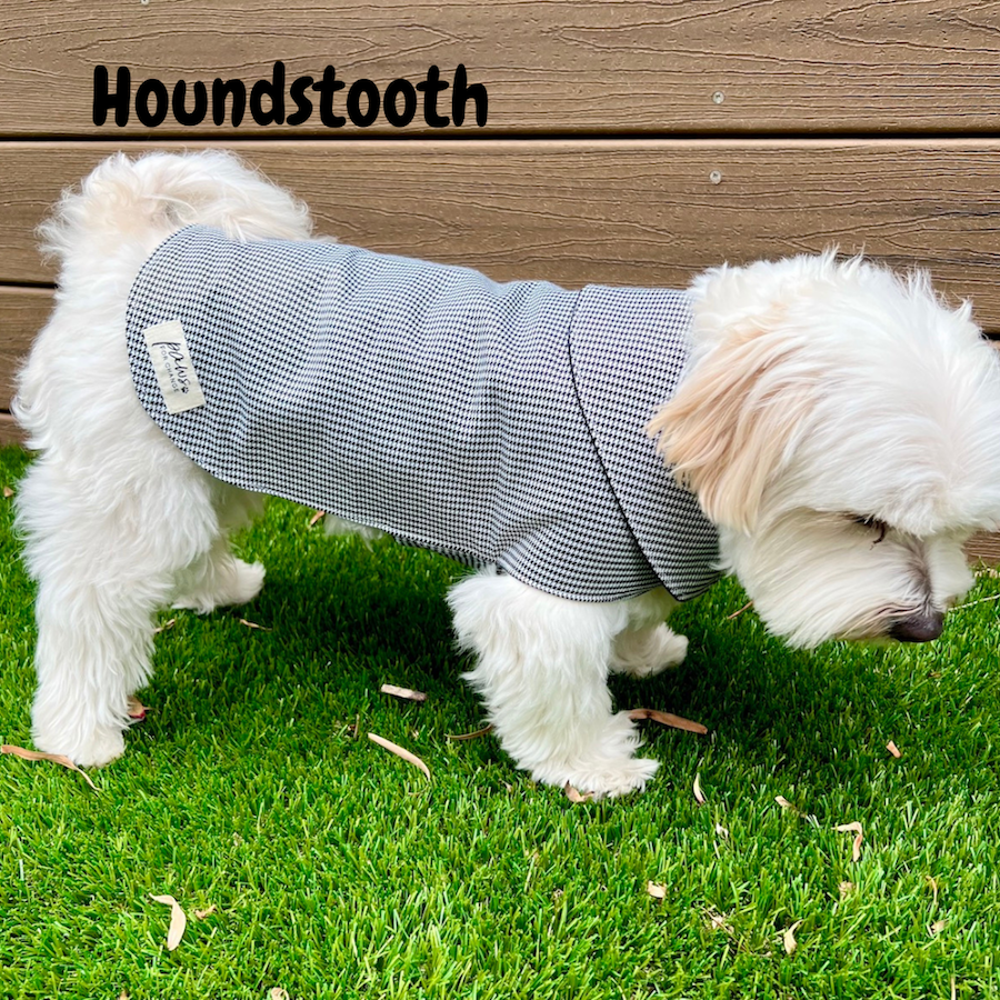 Paws for Change Greeting Cards — Paws For Change