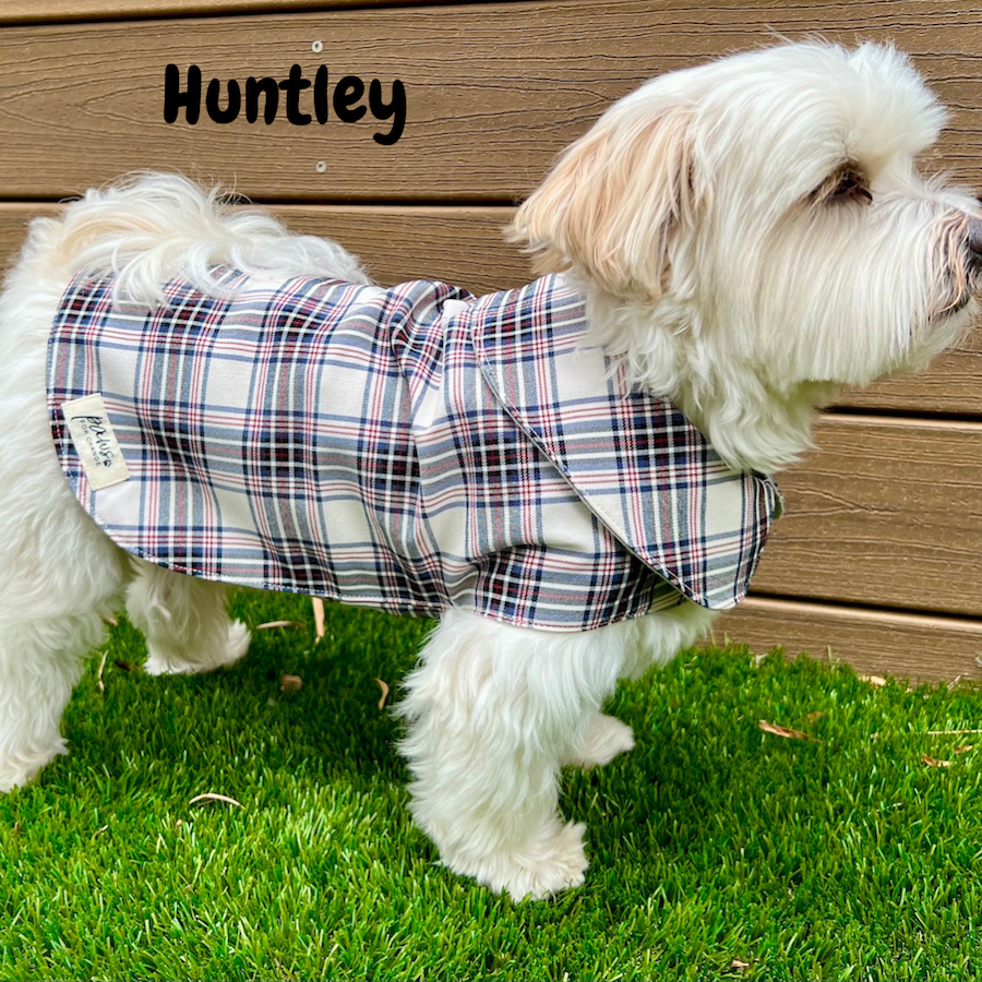 Paws for Change Greeting Cards — Paws For Change