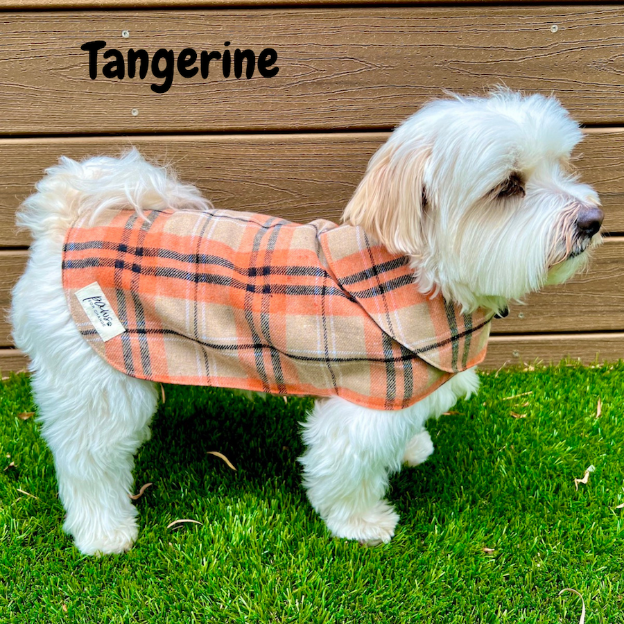 Paws for Change Greeting Cards — Paws For Change