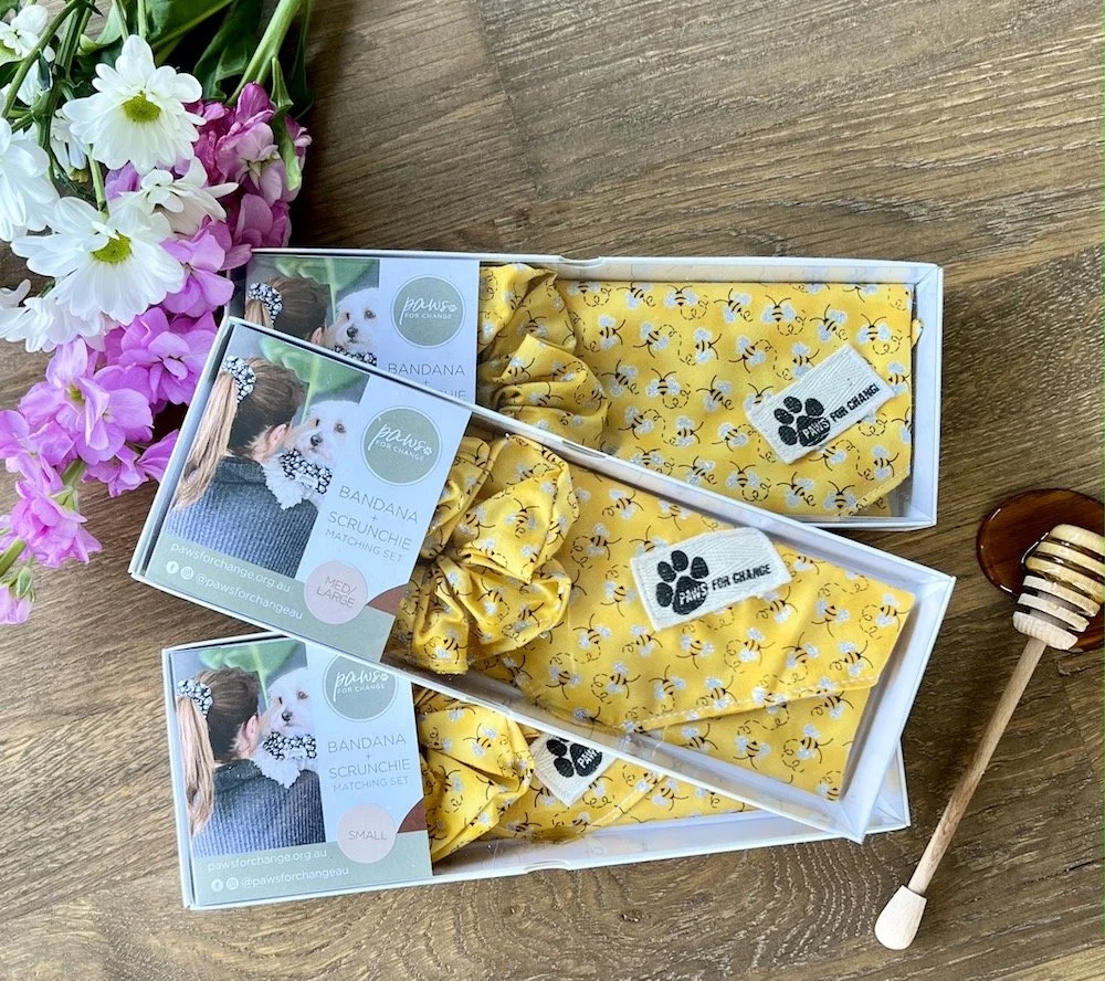 Paws for Change Greeting Cards — Paws For Change